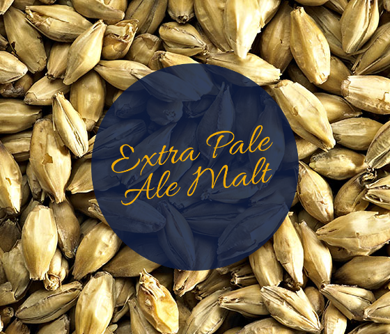 Simpsons EXTRA PALE ALE - Salyklas alui – Alus live - Aludaris.lt